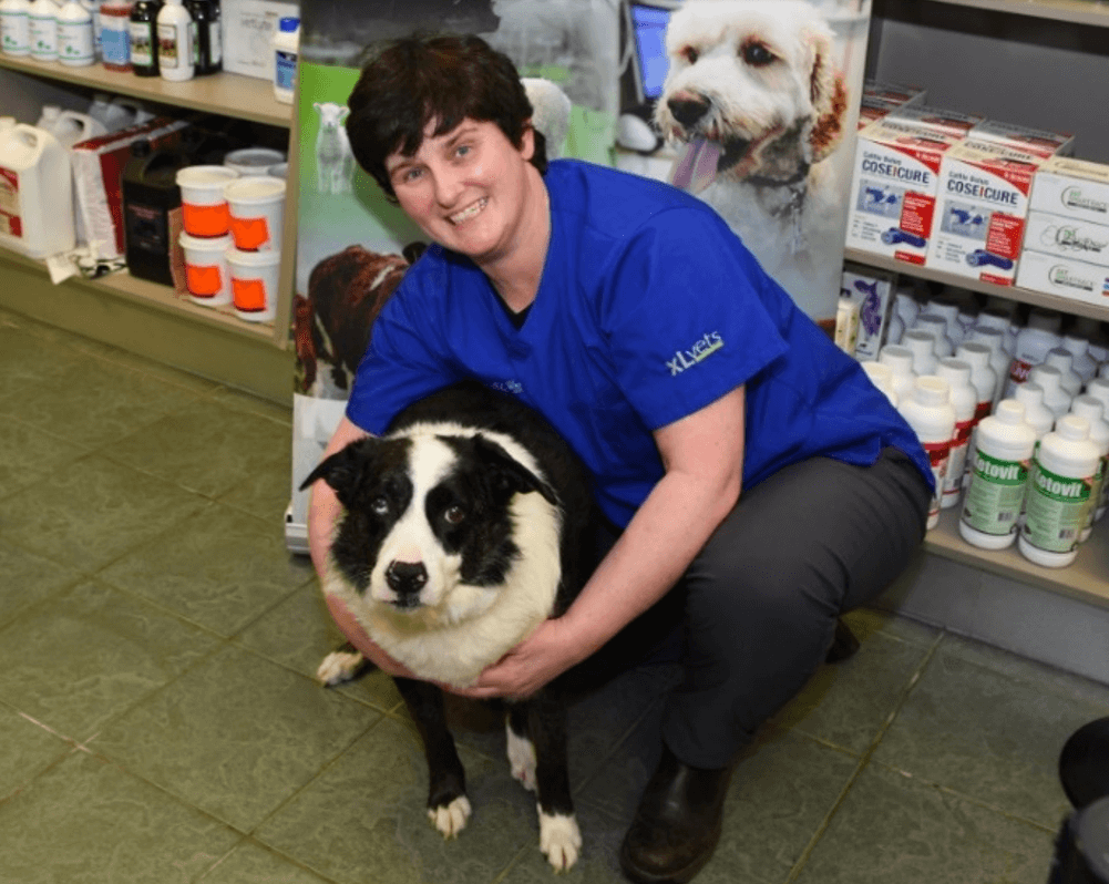 Moy Veterinary placing a heavy emphasis on the importance of rapid worm ...