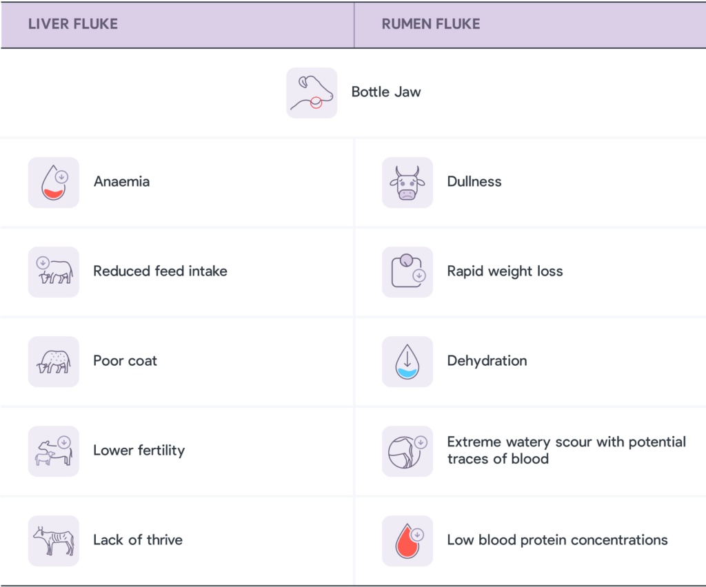 Best practices to manage Fluke | Micron Agritech
