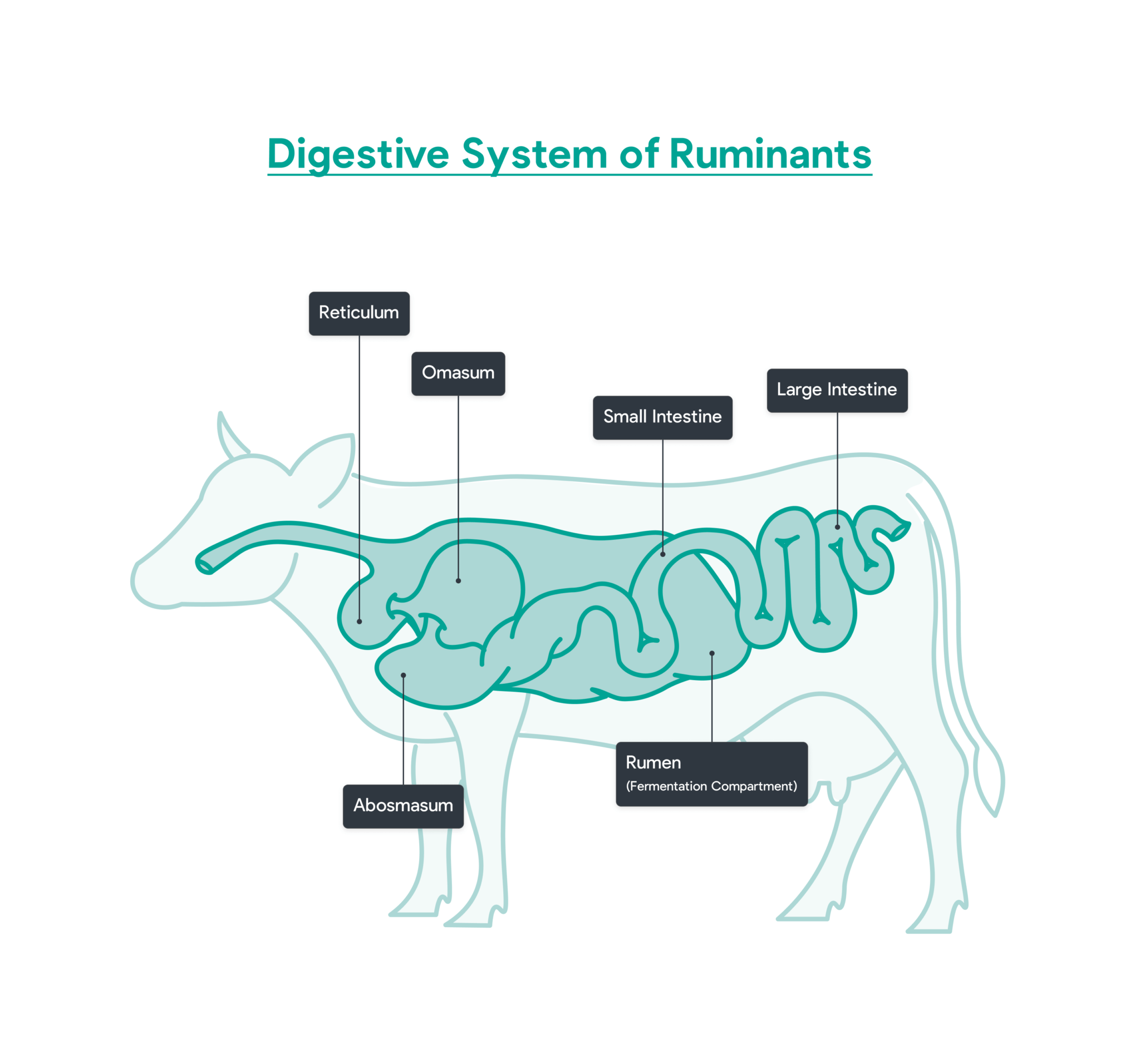 The Relationship Between Nutritional Status & Parasitic Infection ...