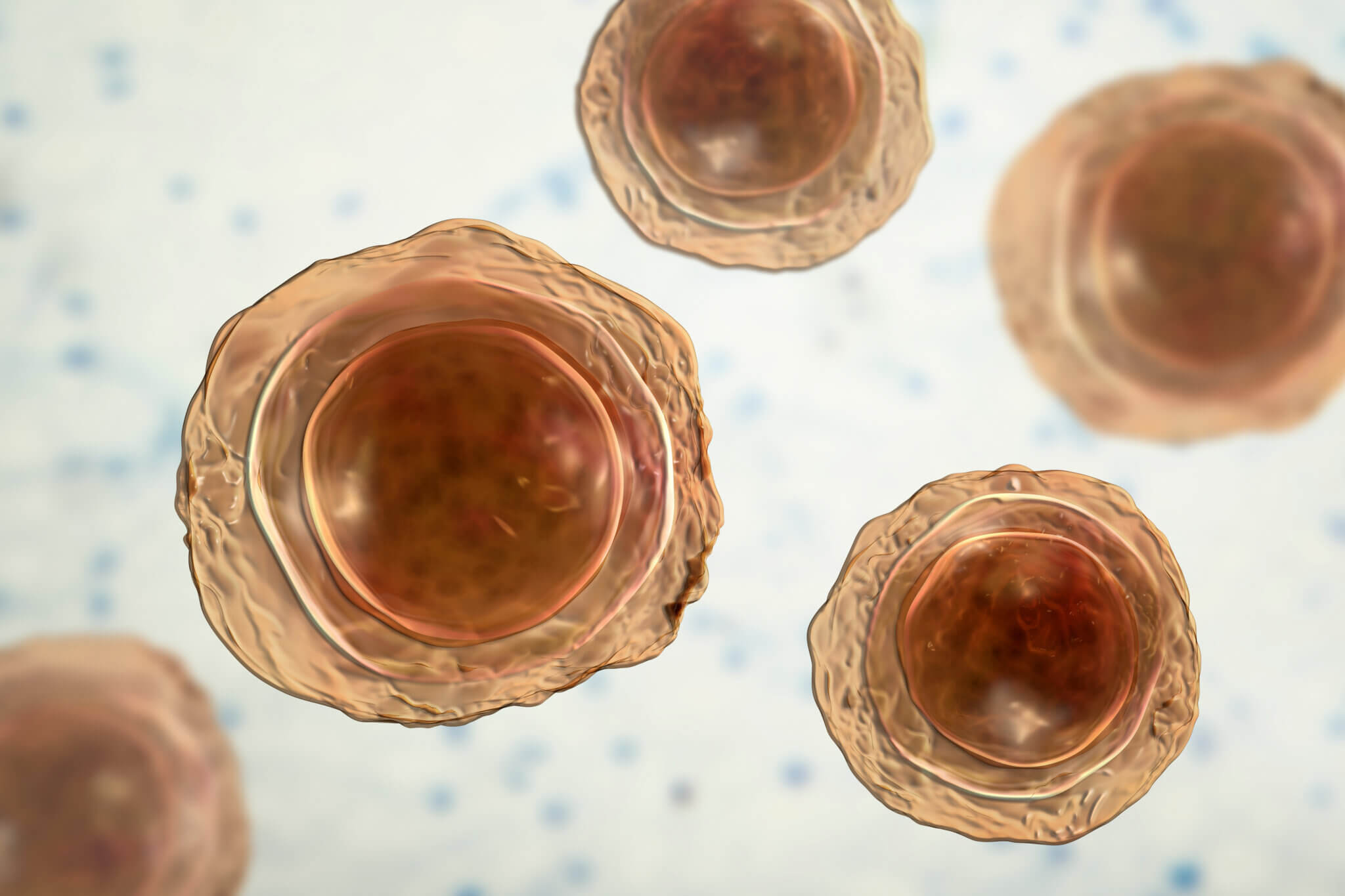 Under the Microscope: Common Large Animal Parasites in Europe | Micron ...